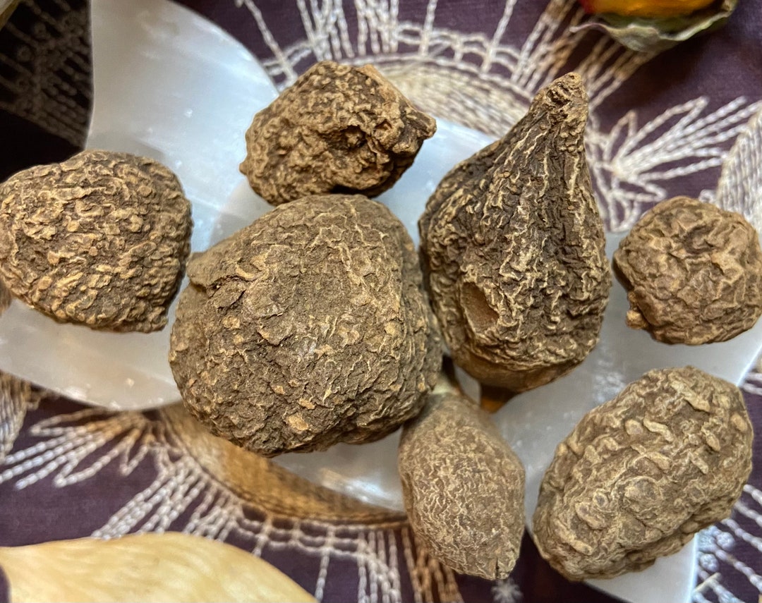 One High St. John the Conqueror Root, Hex Work, Curse Work, Attract ...