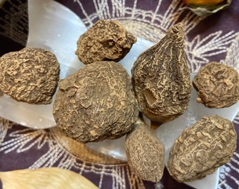 Galangal Root, Low John the Conqueror Herb Law, Legal, Court Case for ...