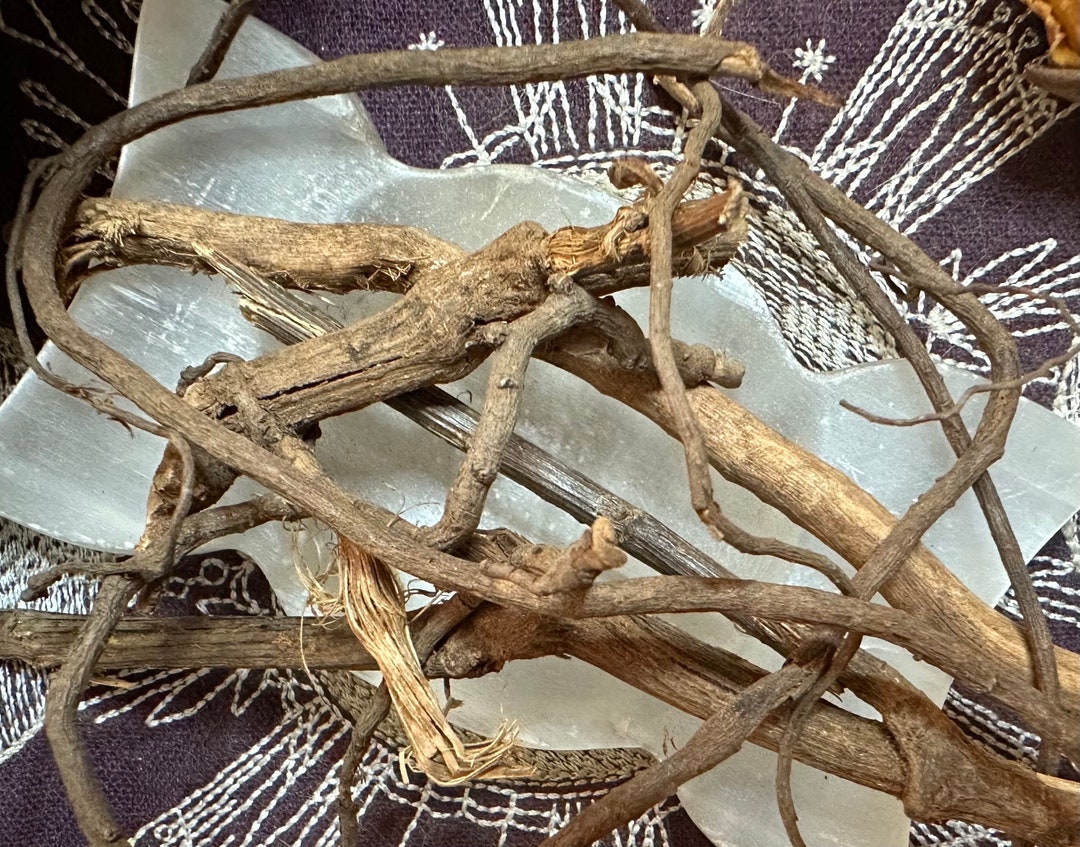 Devils Shoestring, Remove Negative Energy, Luck, Protection ...