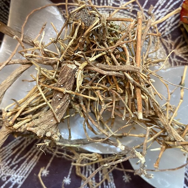 Virginia Snake Root - Etsy