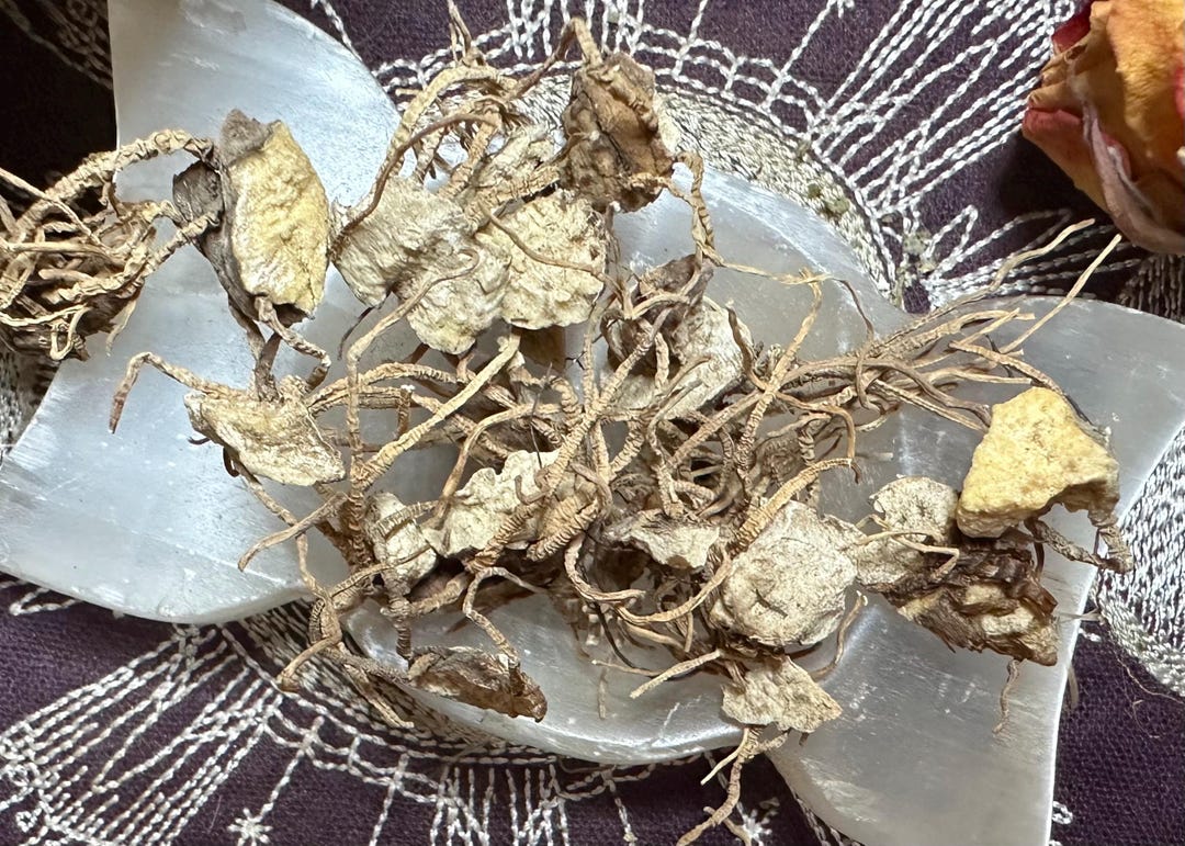 Beth Root, Low John Root, Court Cases, Money Drawing, Hex and Curse ...