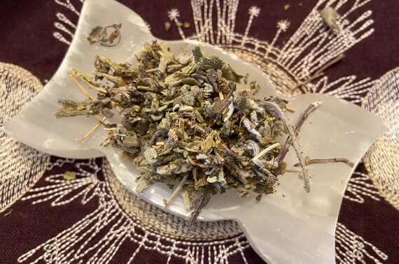 Common Sage Garden Sage Ward off Evil Cleansing Wisdom - Etsy