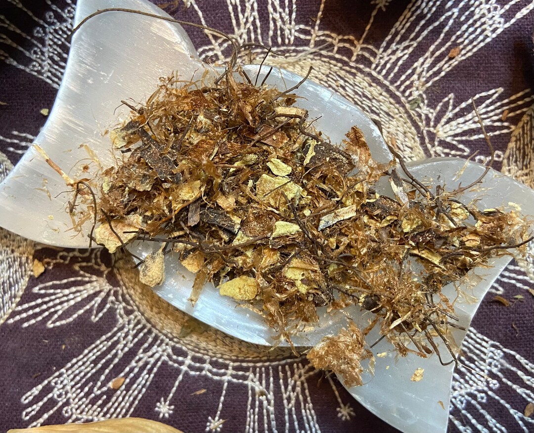 Male Fern Root, Protection From Evil and Negativity, Luck, Prosperity ...