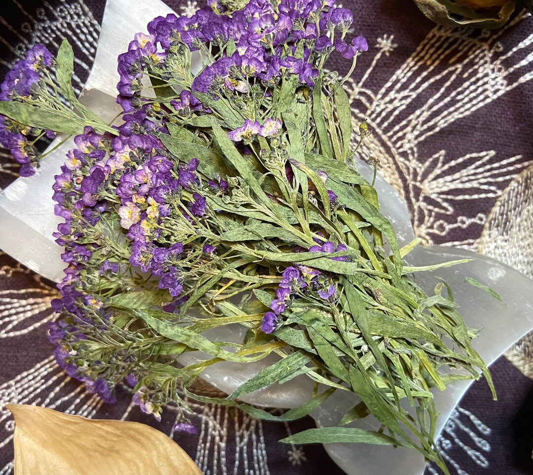 Purple Alyssum Flowers, Sweet Alyssum Flowers, Dispel Anger, Hex ...