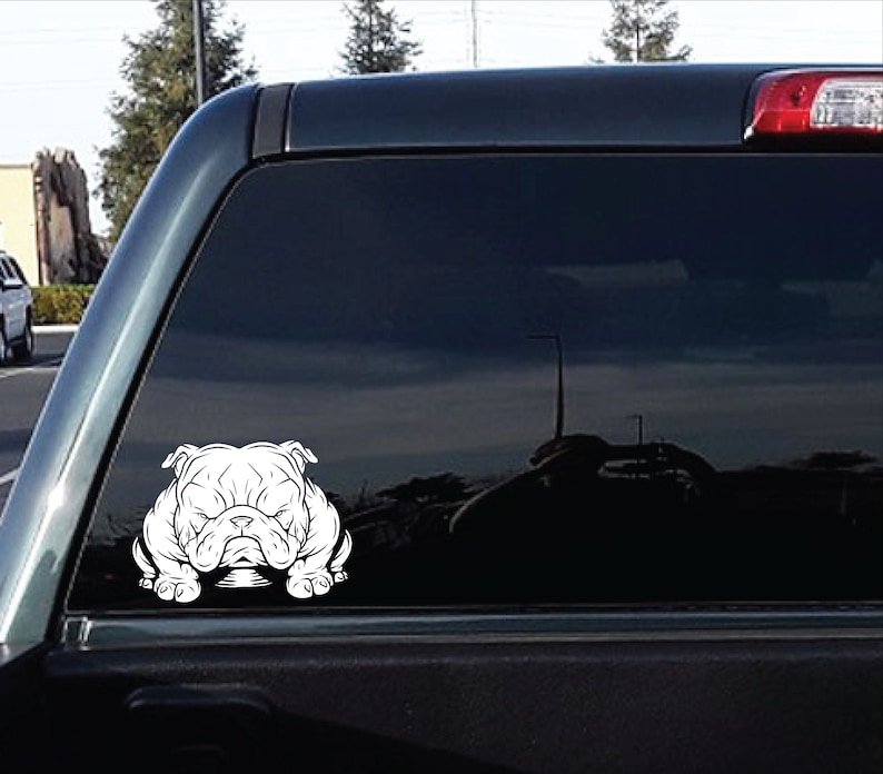 American Bully Decal / Exotic Bully Decal / Sticker/ Bull Window Decal ...