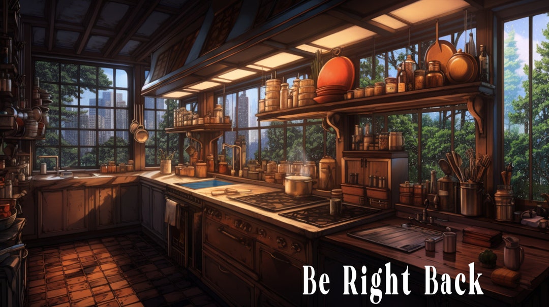 Animated Lo-fi Anime Kitchen Overlay - Etsy