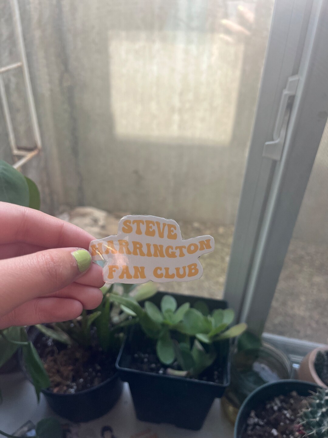 Steve Harrington Sticker Based on Stranger Things, Steve Harrington ...