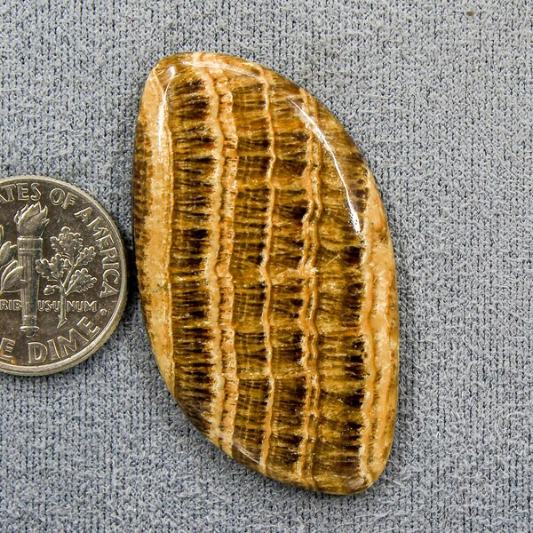 Brown Aragonite - Etsy