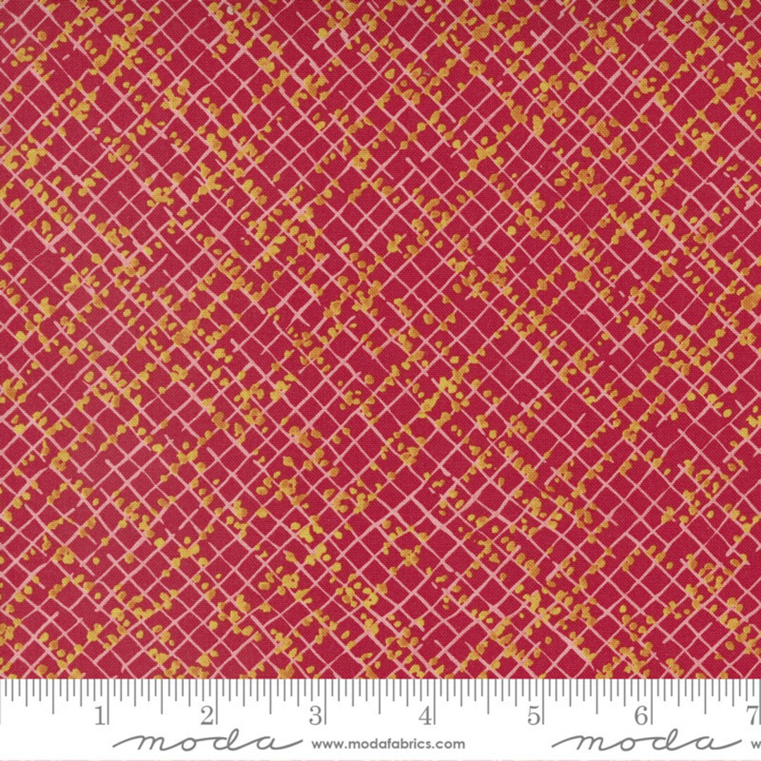 Wild Blossoms Blotted Graph Paper Blenders Check Poppy by Robin Pickens ...