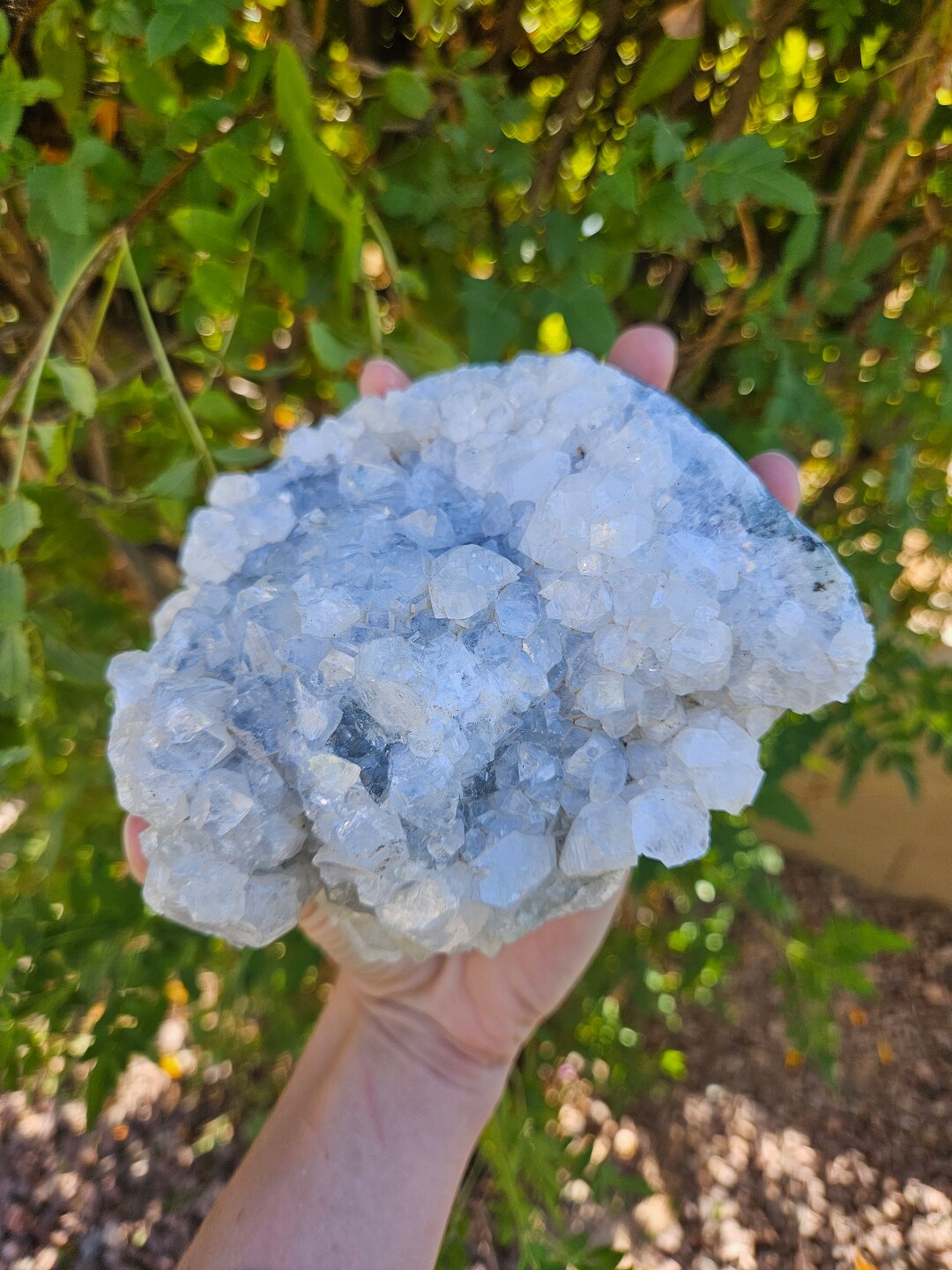 Light Blue Zeolite Crystal Cluster Choose Your Own Zeolite Wholesale - Etsy