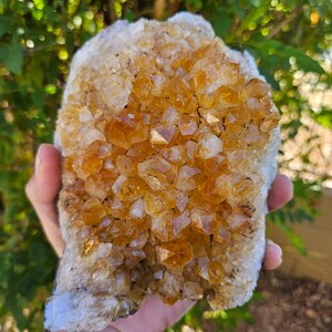 Wholesale Citrine Crystal Clusters - Etsy