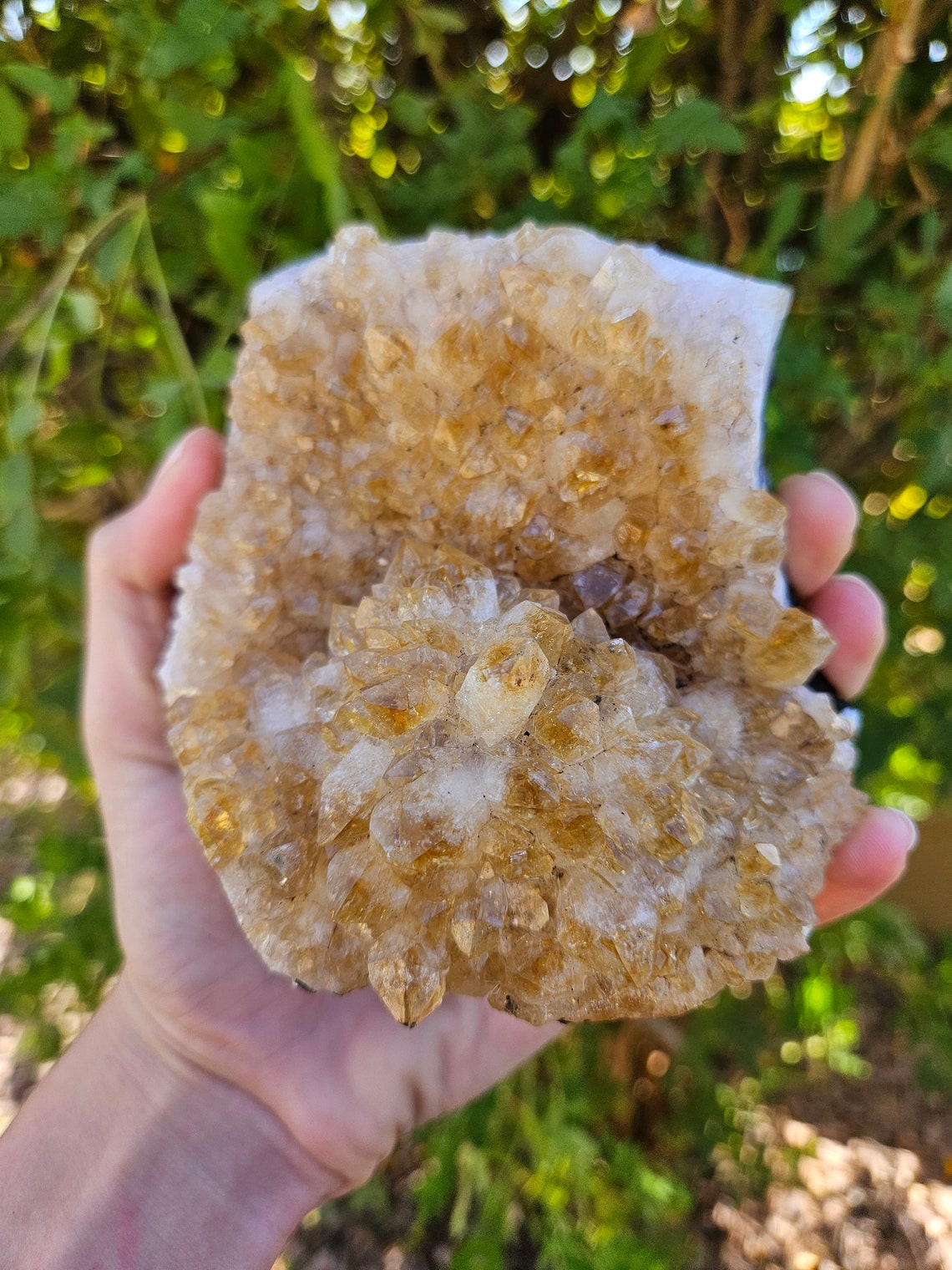 Wholesale Citrine Crystal Clusters - Etsy