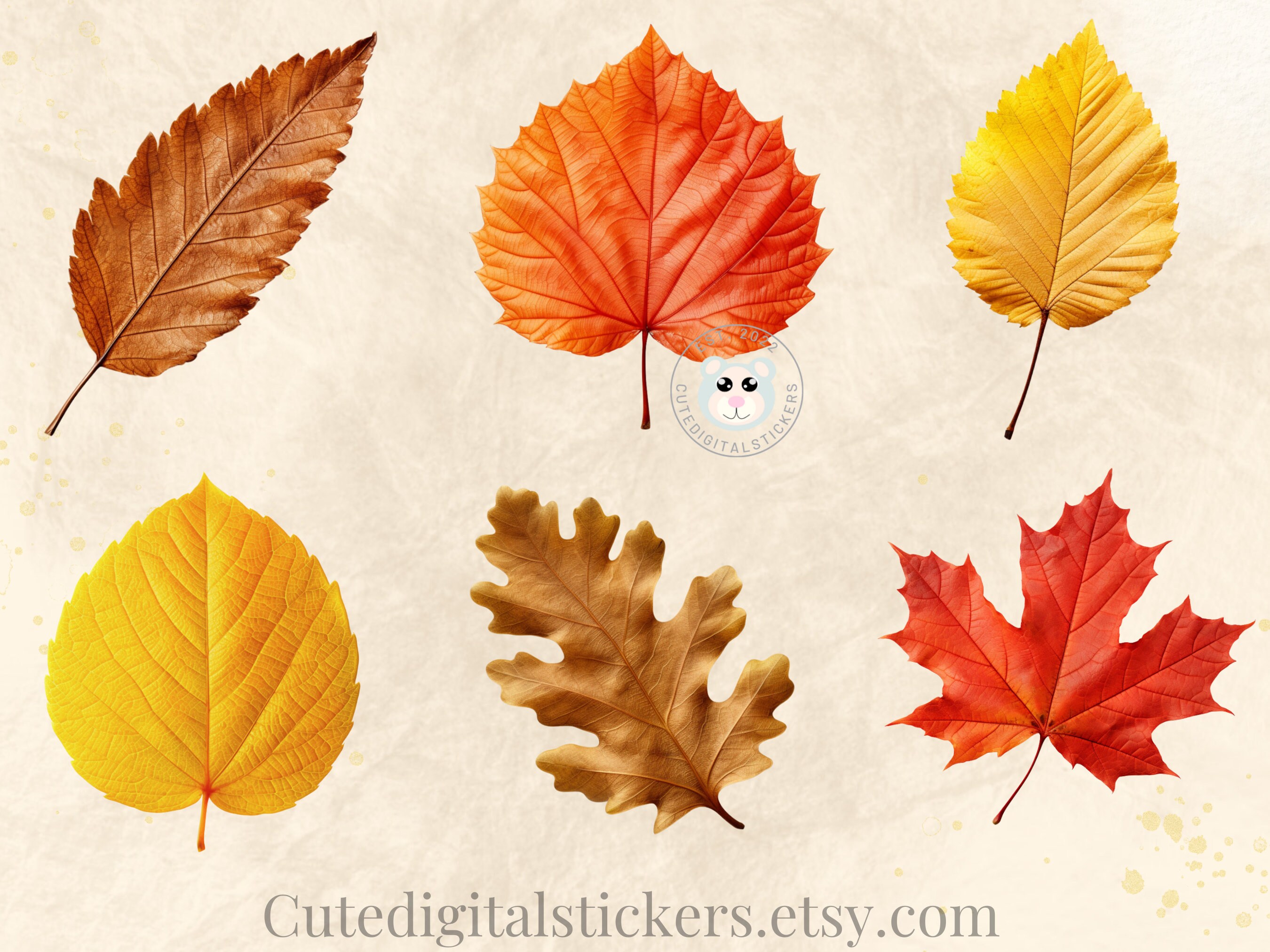 Fall Leaves Clipart, Lifelike Fall Leaves Png, Fall Leaves Digital Clip ...