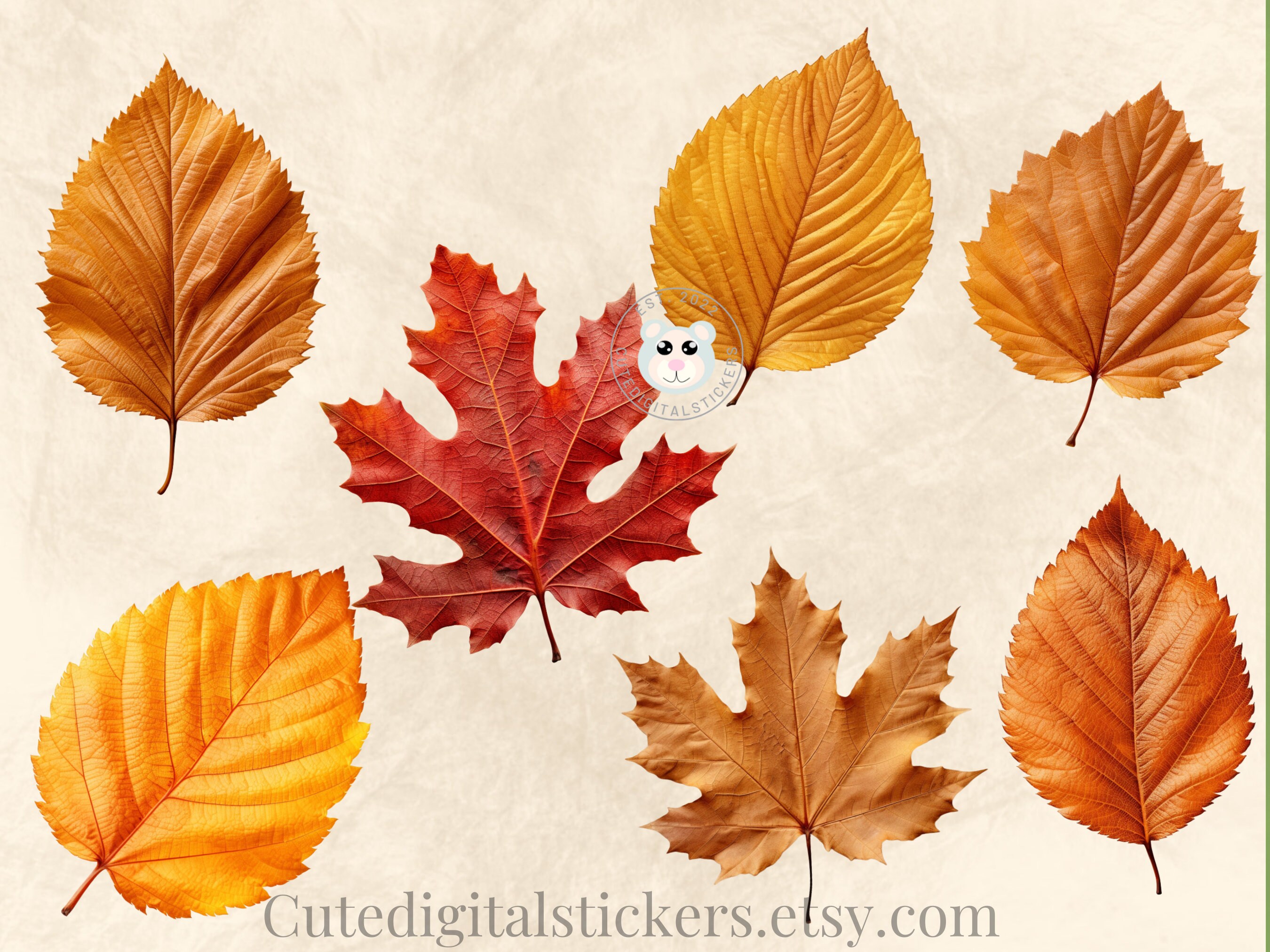 Fall Leaves Clipart, Lifelike Fall Leaves Png, Fall Leaves Digital Clip ...