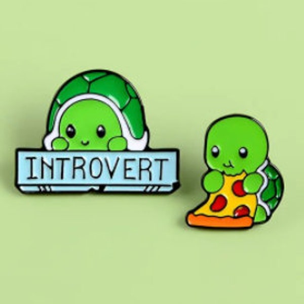 Turtle Enamel Pin - Etsy