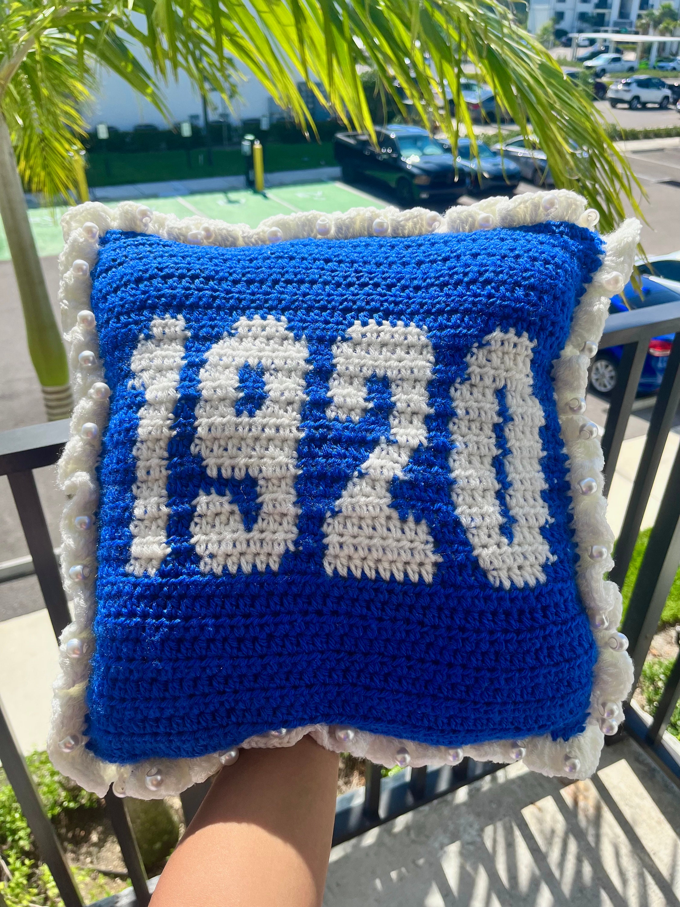 Crochet NPHC/D9 Founding Year Pillow - Etsy
