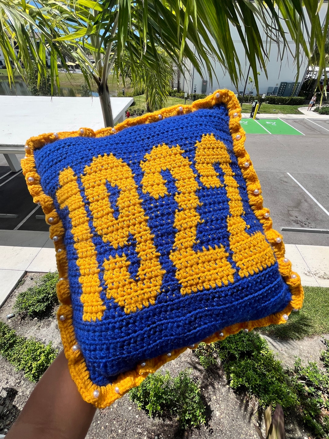 Crochet NPHC/D9 Founding Year Pillow - Etsy