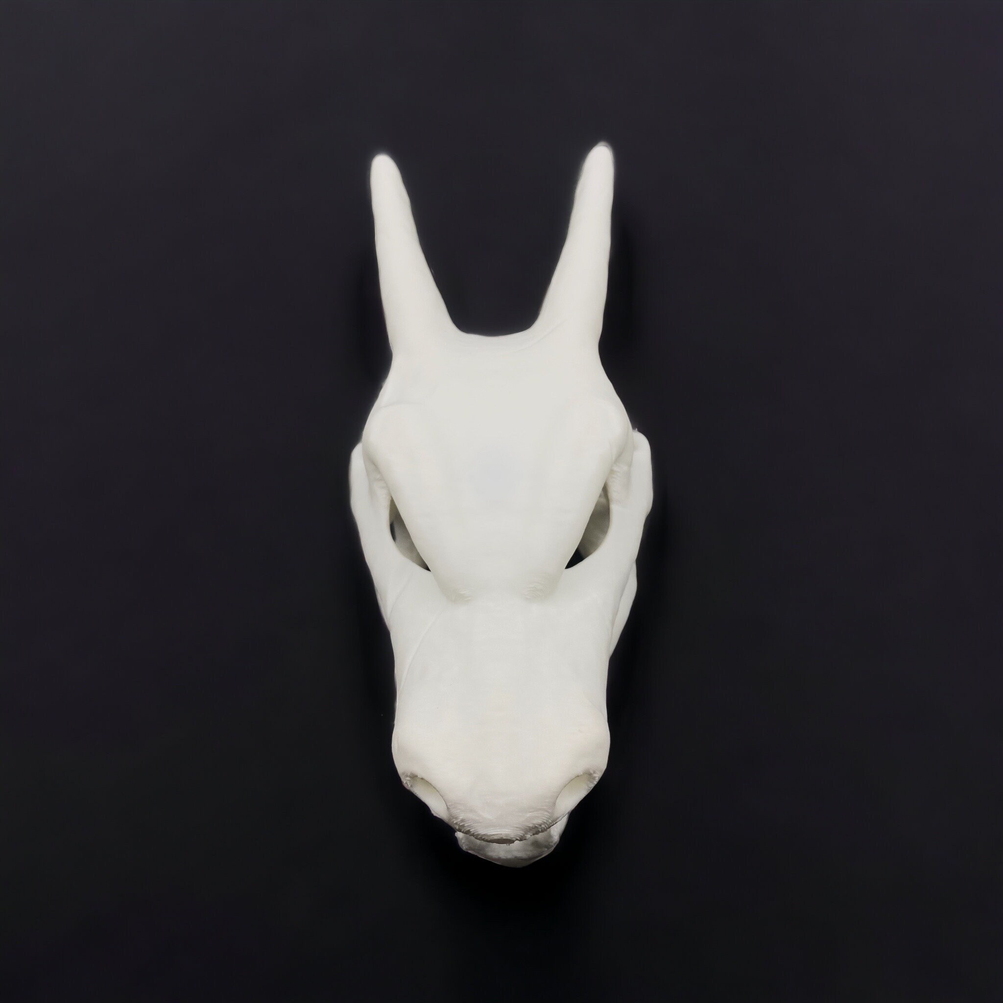 Charizard Skull Fan Art Model Figure Gamer Art Gift Anime 3D - Etsy