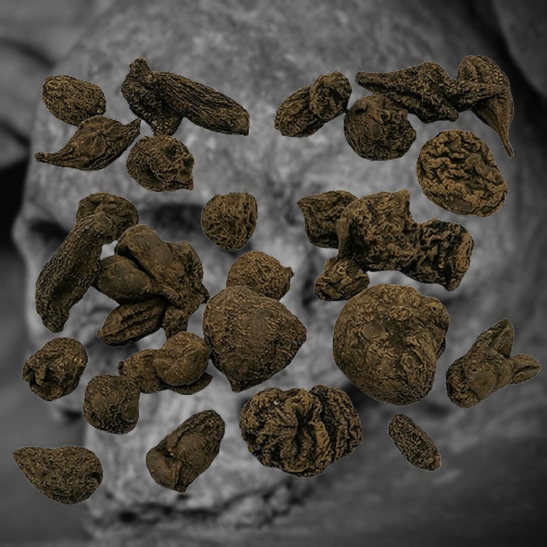 High John the Conqueror Root - Etsy