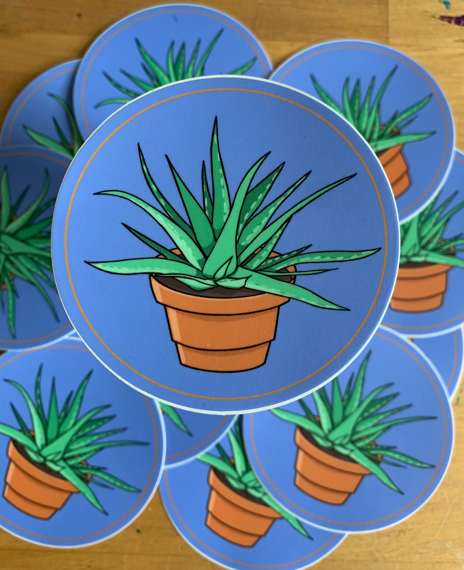 Aloe Vera Plant Sticker - Etsy