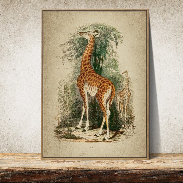 Giraffe Poster - Etsy