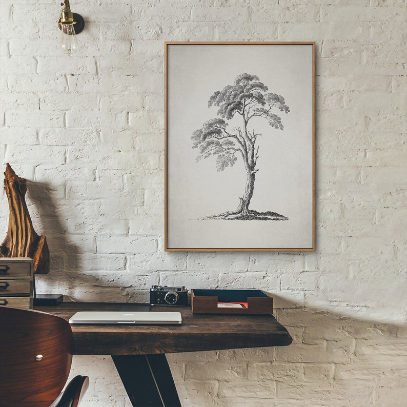 Antique Tree Sketch Print, Vintage Tree Etching Art, Antique Tree ...