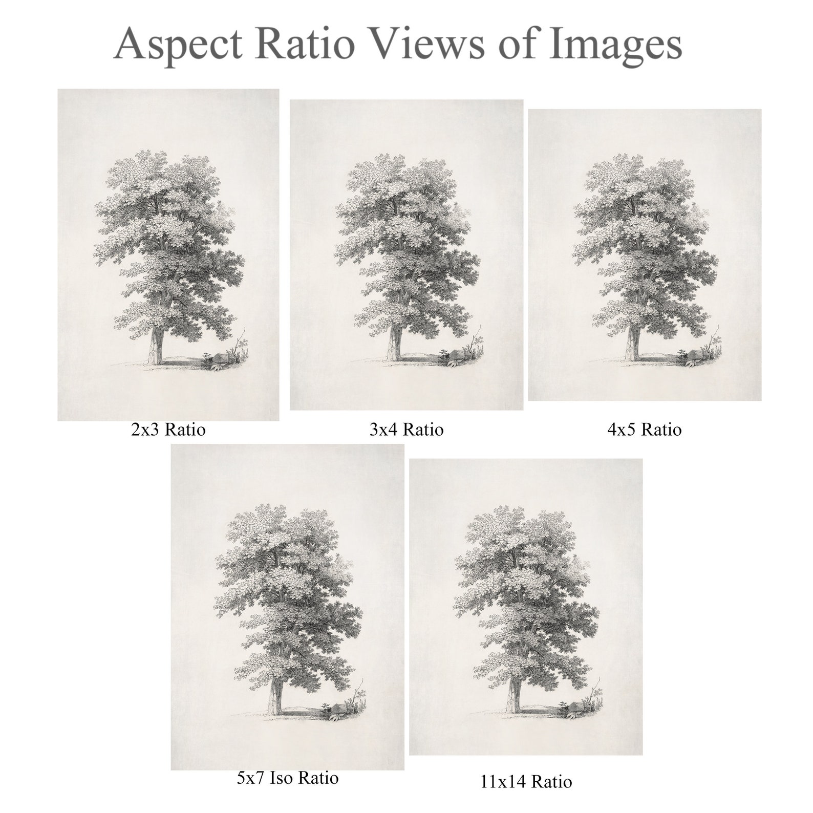 Vintage Tree Print Neutral Tree Sketch Drawing Printable - Etsy