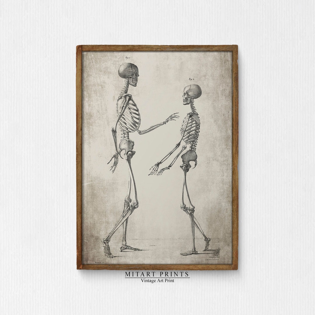 Vintage Skeleton Print, Halloween Printable, Vintage Skeleton Art ...