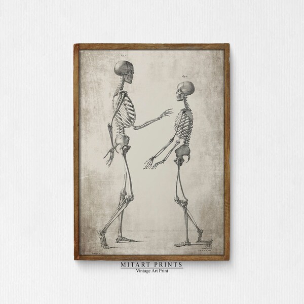 Skeleton Poster - Etsy