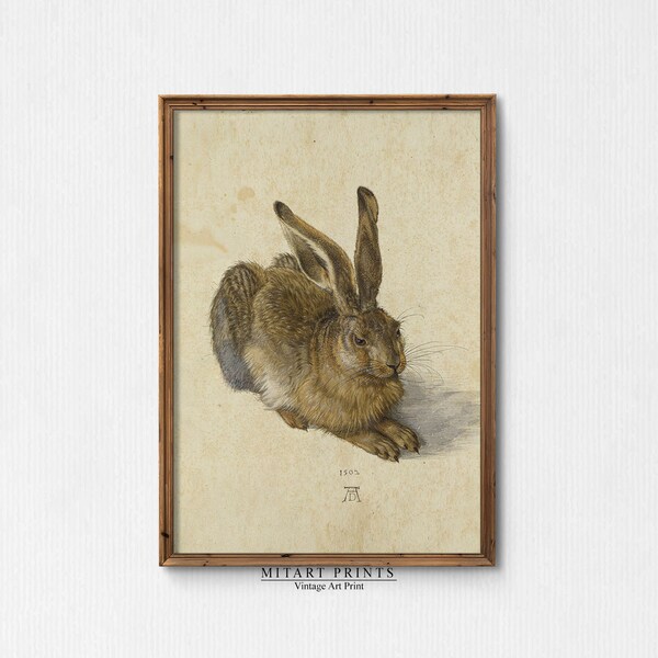 Antique Rabbit Print - Etsy