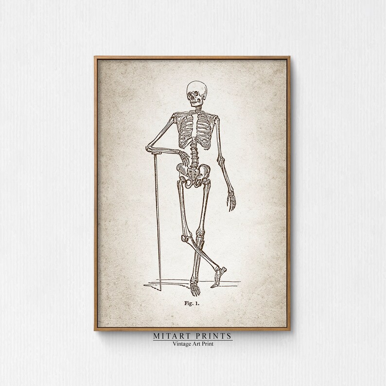 Vintage Skeleton Print Instant Download Halloween Printable - Etsy