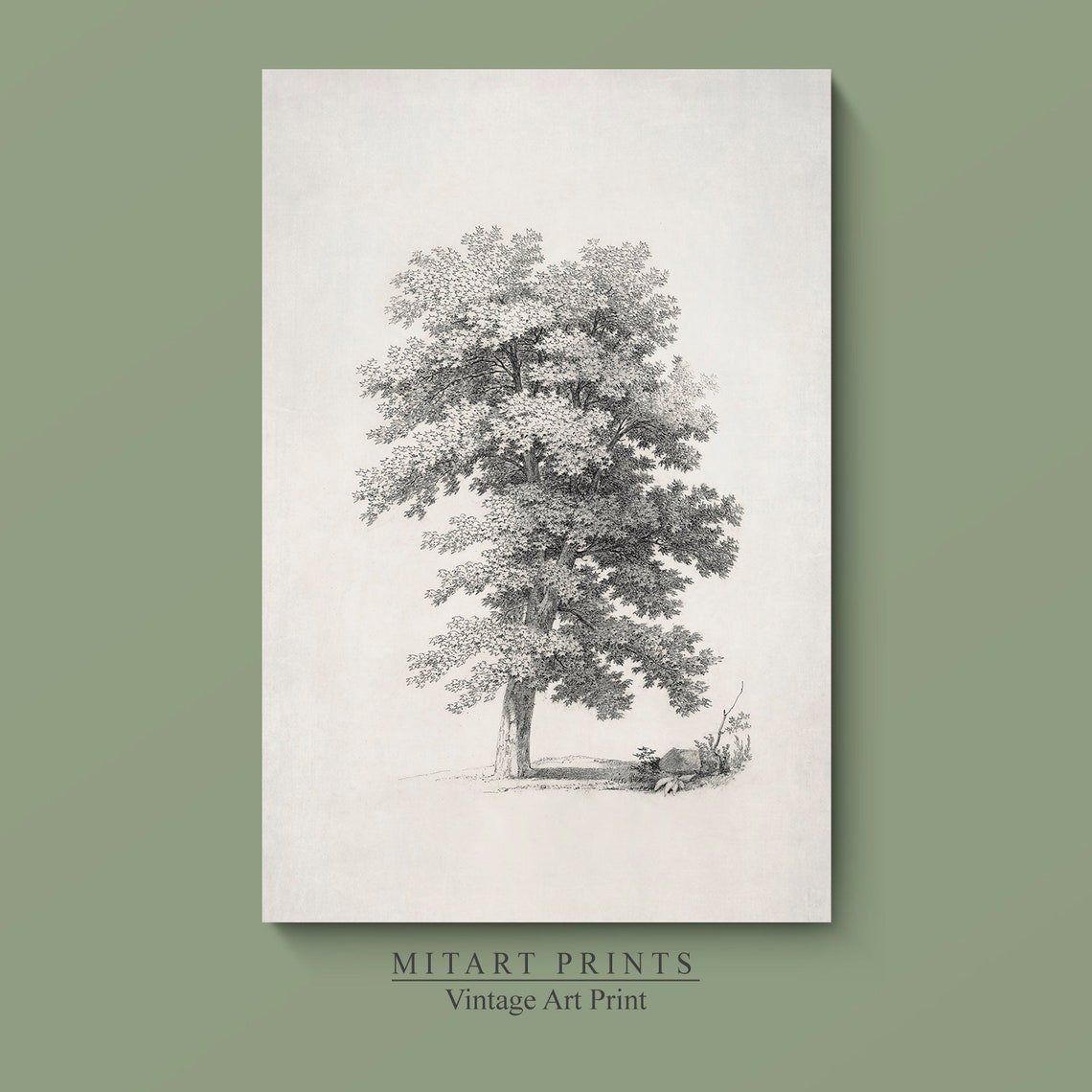 Vintage Tree Print Neutral Tree Sketch Drawing Printable - Etsy