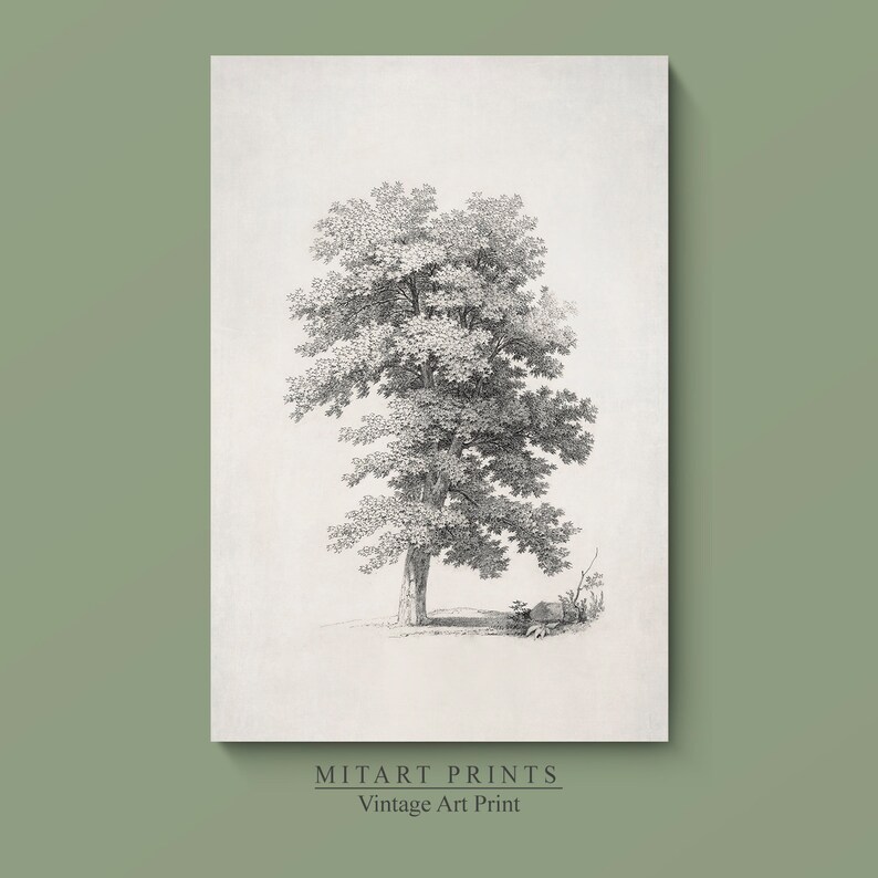 Vintage Tree Print Neutral Tree Sketch Drawing Printable - Etsy