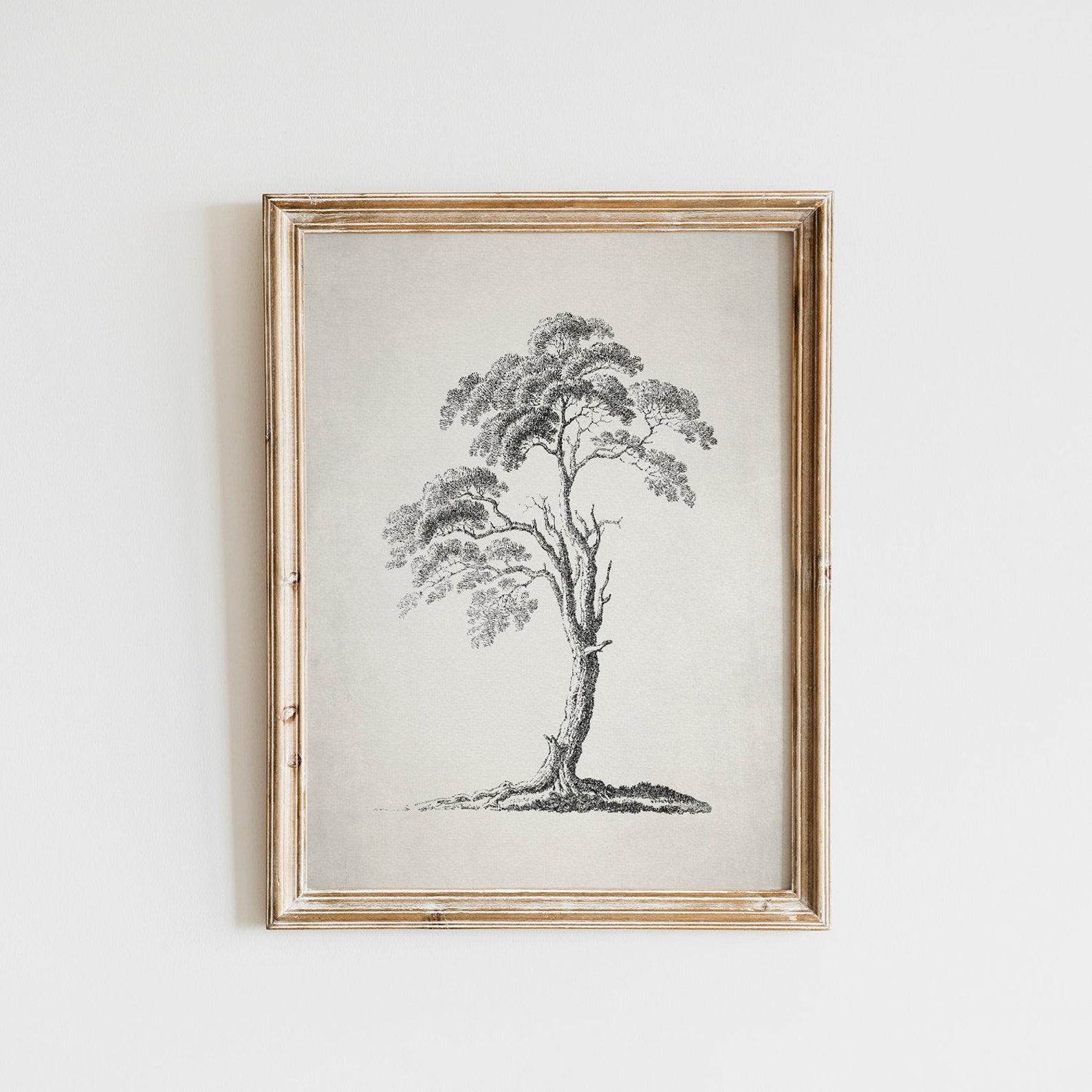 Antique Tree Sketch Print Vintage Tree Etching Art Antique - Etsy