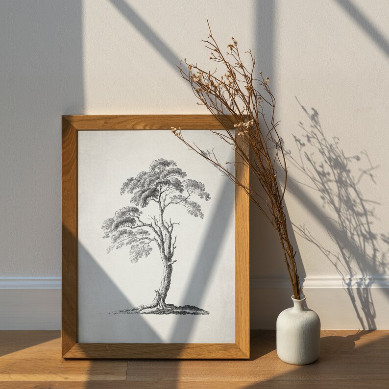 Antique Tree Sketch Print Vintage Tree Etching Art Antique - Etsy