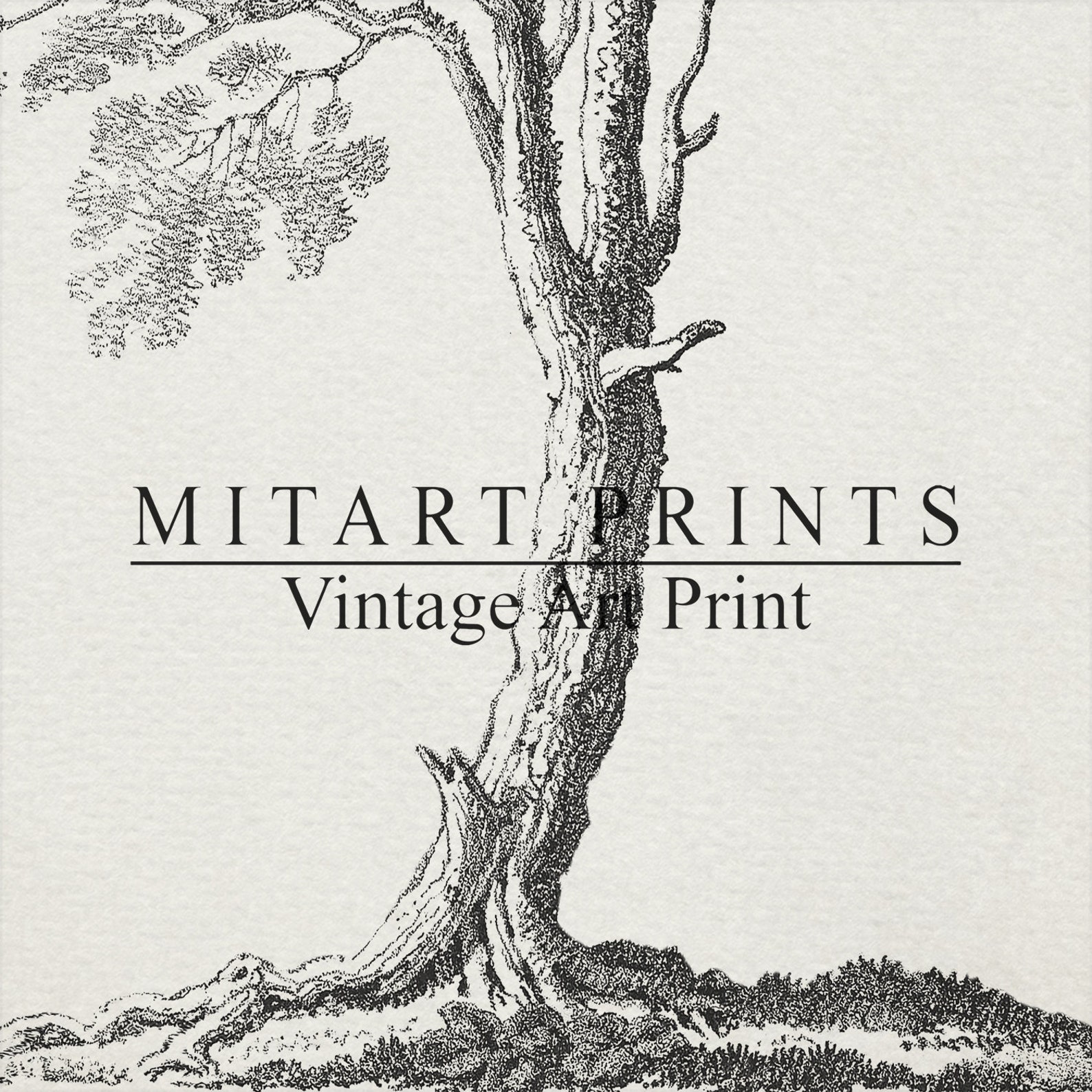 Antique Tree Sketch Print, Vintage Tree Etching Art, Antique Tree ...