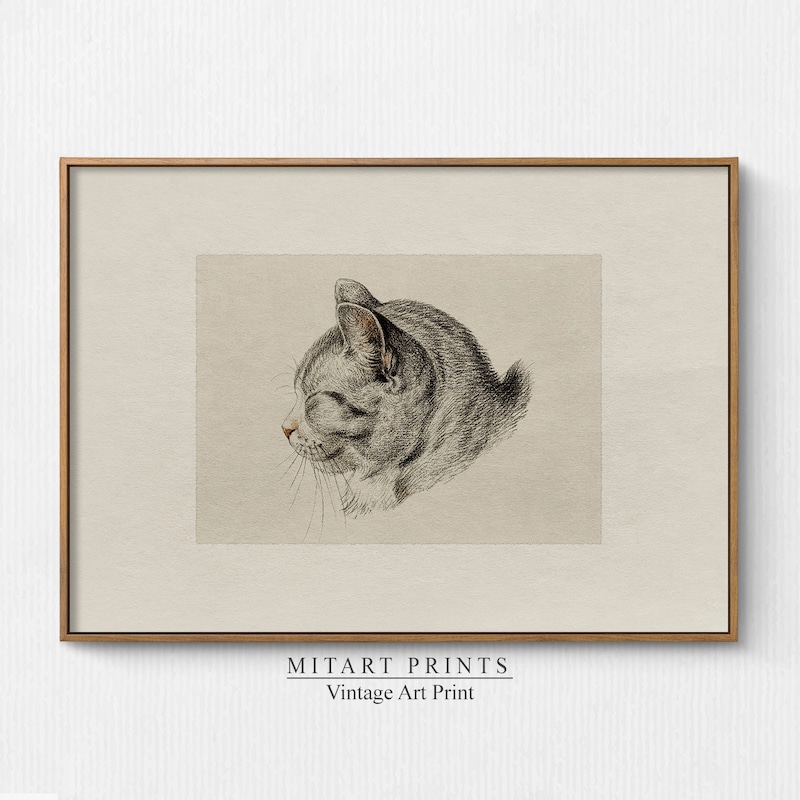 Vintage Cat Print - Etsy