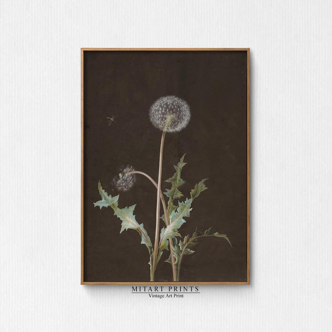 Vintage Dandelion Painting, Moody Vintage Flower Print, Antique ...