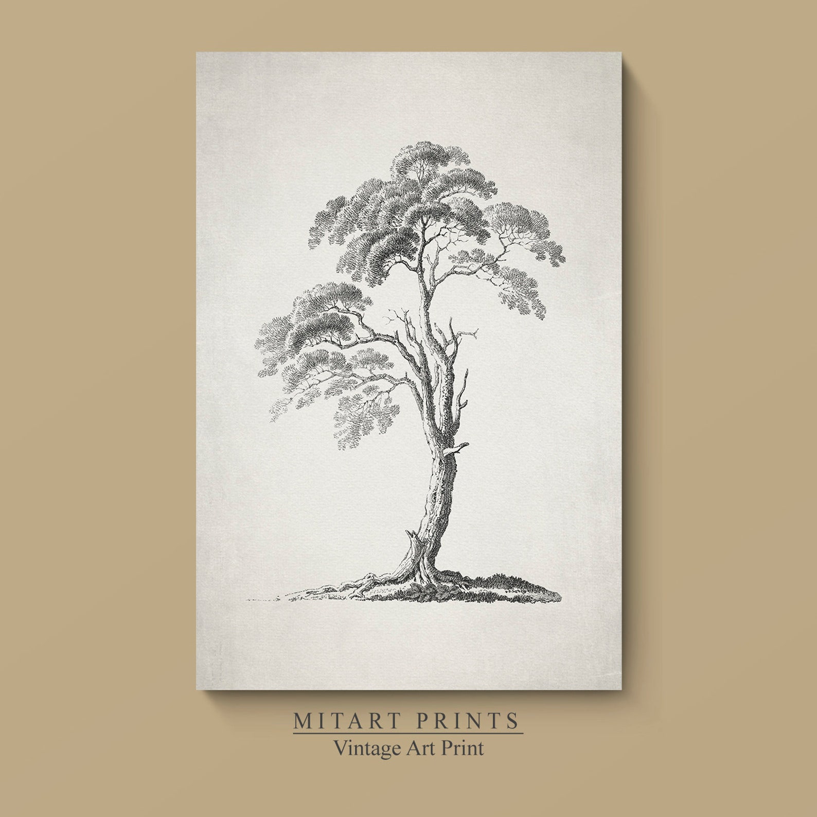Antique Tree Sketch Print Vintage Tree Etching Art Antique - Etsy
