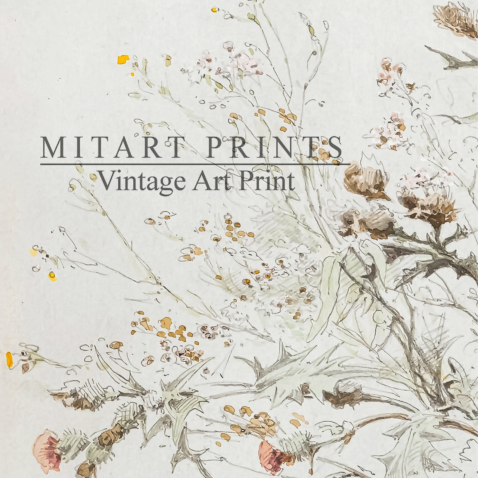 Vintage Botanical Watercolor Painting Antique Botanical | Etsy