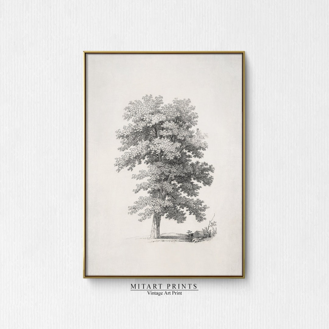 Vintage Tree Print, Neutral Tree Sketch, Drawing Printable, Artwork for ...
