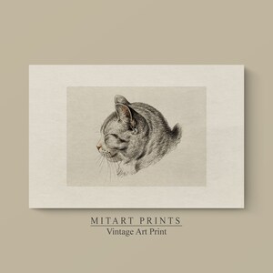 Vintage Cat Print, Printable Nursery Art, Cat Drawing Printable Wall Art, Nursery Room Art ...