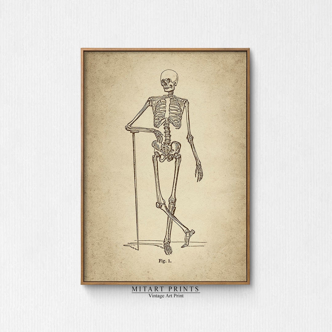 Vintage Skeleton Print Instant Download, Halloween Printable Wall Art ...