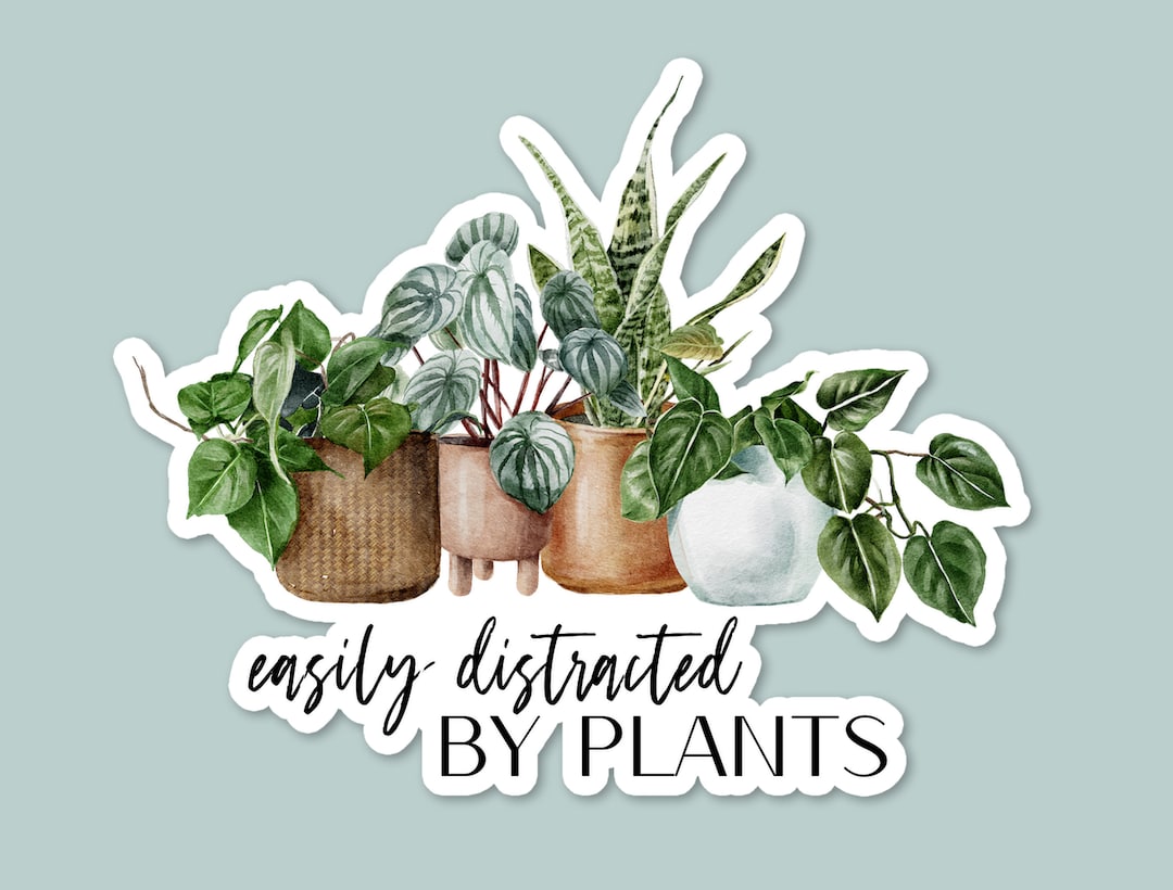 Easily Distracted by Plants Potted Plant Sticker, Potted Plants ...