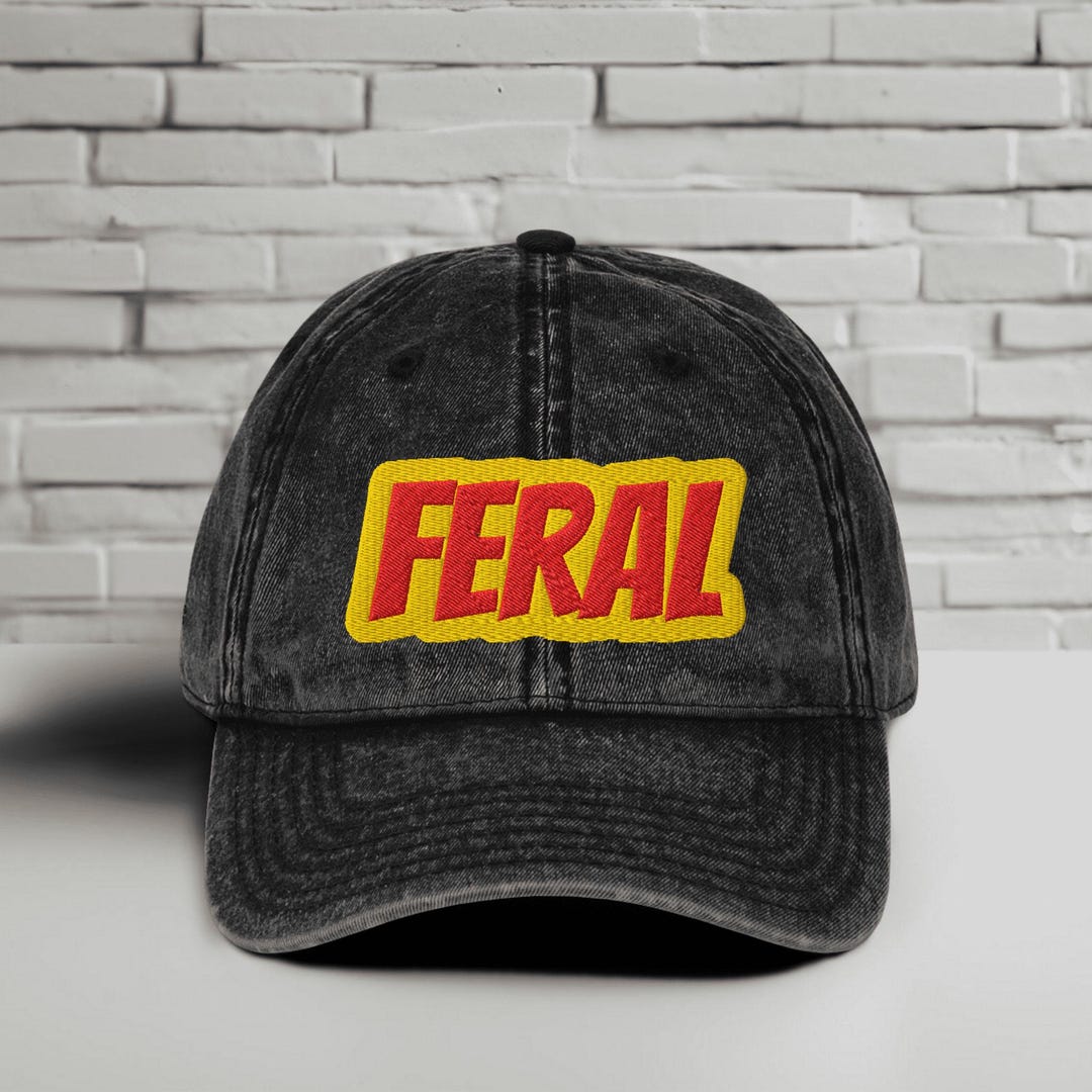 Embroidered Feral Hat Spicy Romance Reader Gift Comfort Colors LGBTQ ...