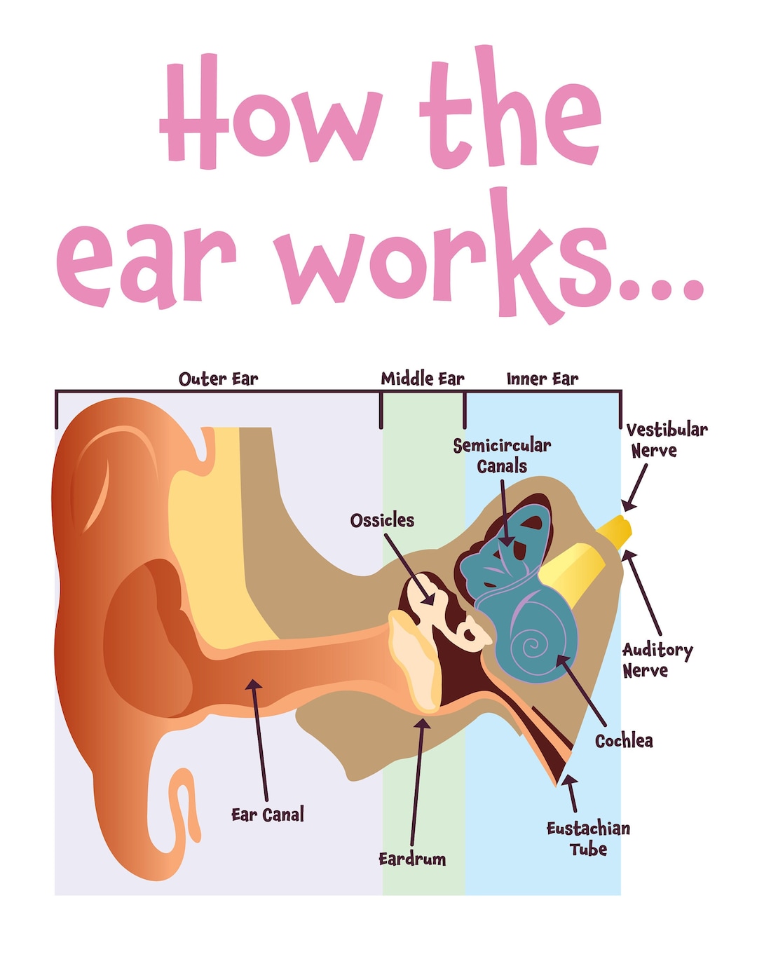 Elementary School Packet on Hearing Loss - Customizable - Ears of ...