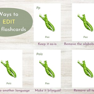 VEGETABLES 60 Cards Real Picture Editable Flash Card Alphabet Preschool ...