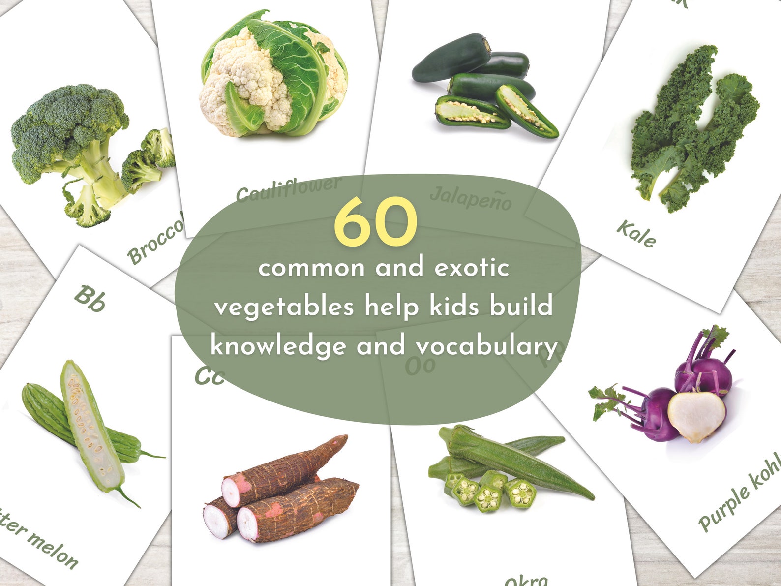 VEGETABLES 60 Cards Real Picture Editable Flash Card - Etsy