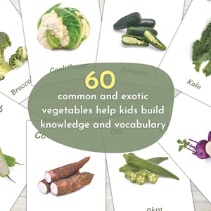 VEGETABLES (60 Cards) | Real Picture | Editable Flash Card | Alphabet ...