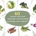 VEGETABLES (60 Cards) | Real Picture | Editable Flash Card | Alphabet ...